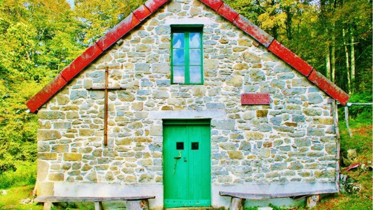 Irati, la selva que te atrapa - Viajar