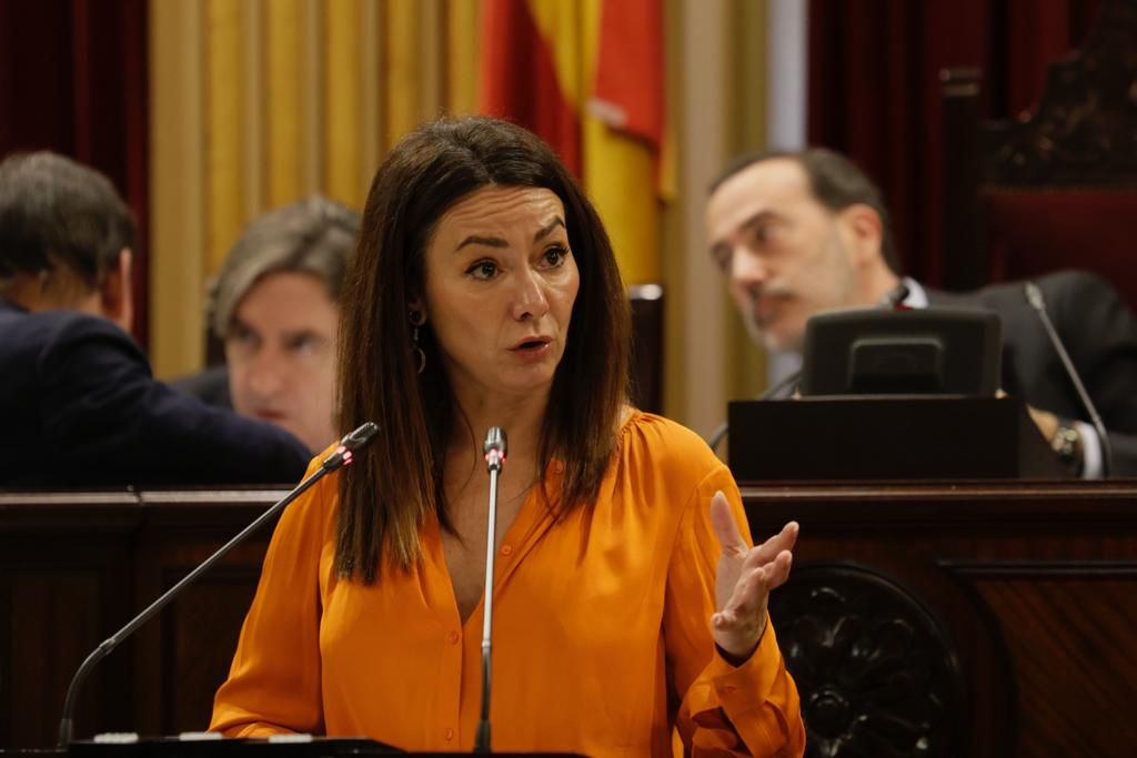 La consellera de Vivienda, Marta Vidal, en el pleno de este martes ...