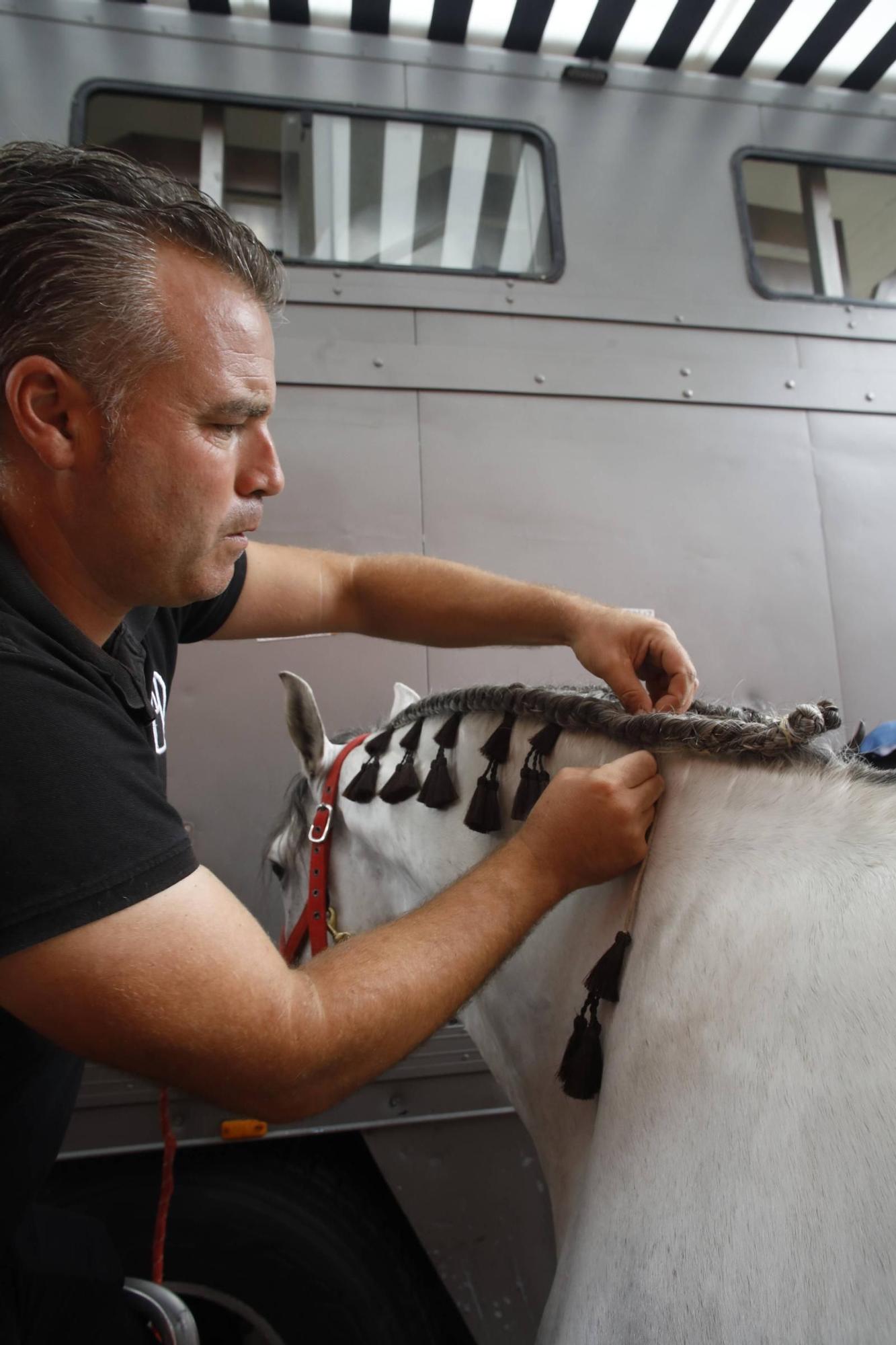 Así se preparan los caballos de rejoneo para torear (en imágenes)