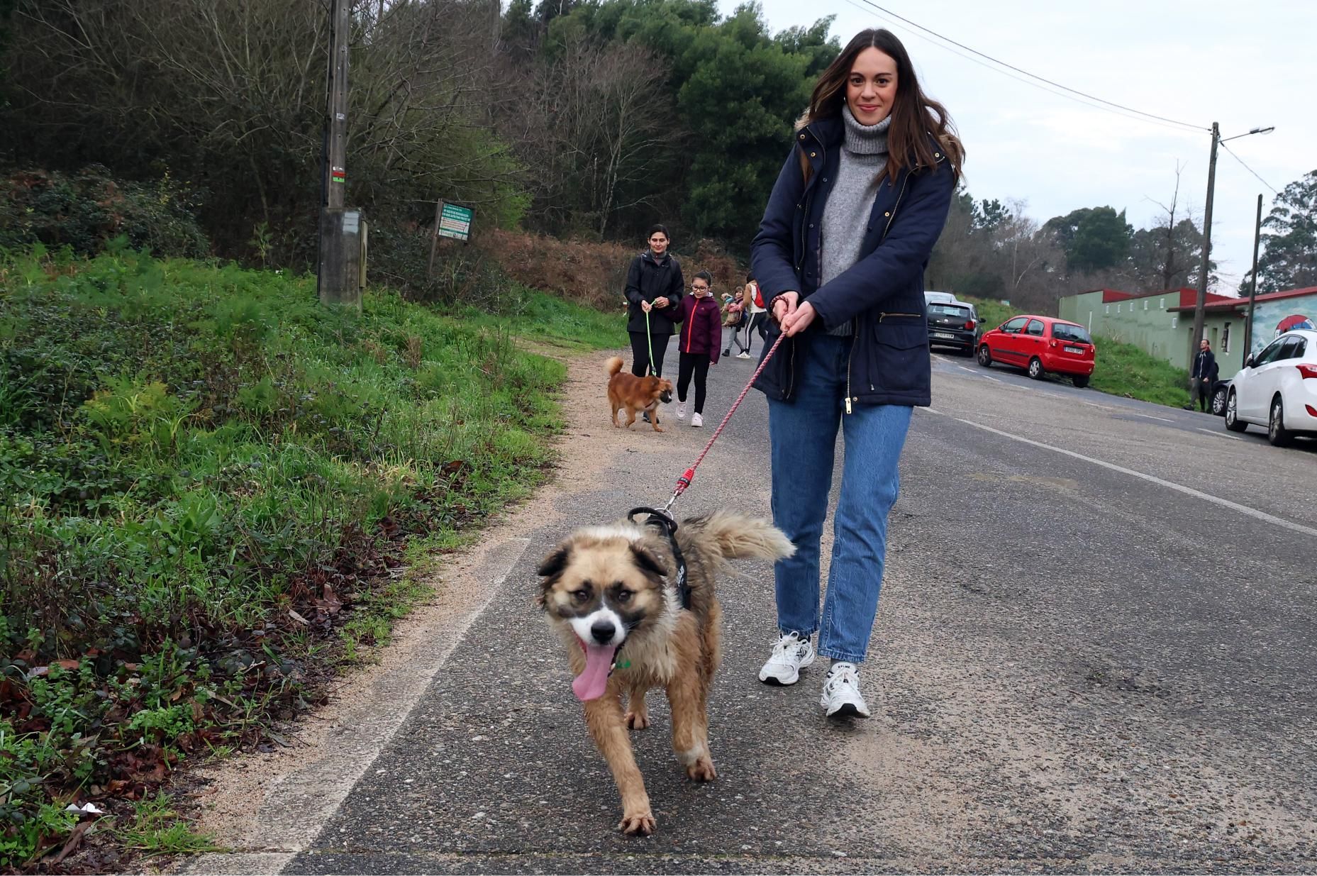 PASEO DE PERROS PERRERA VIGO: Un paseo de esperanza para los perros de ...