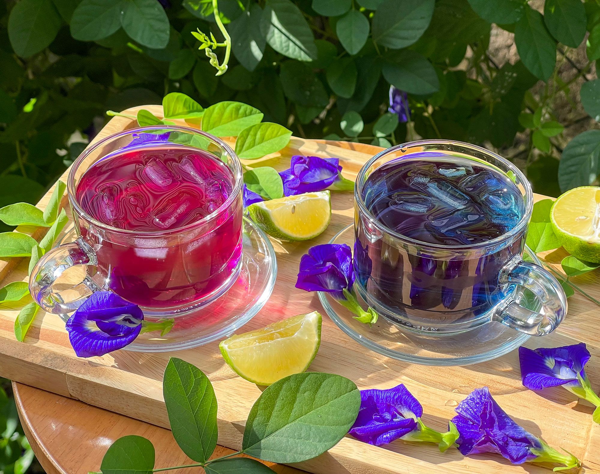 BENEFICIOS TÉ | Té frío vs. té caliente: ¿tienen las mismas propiedades?