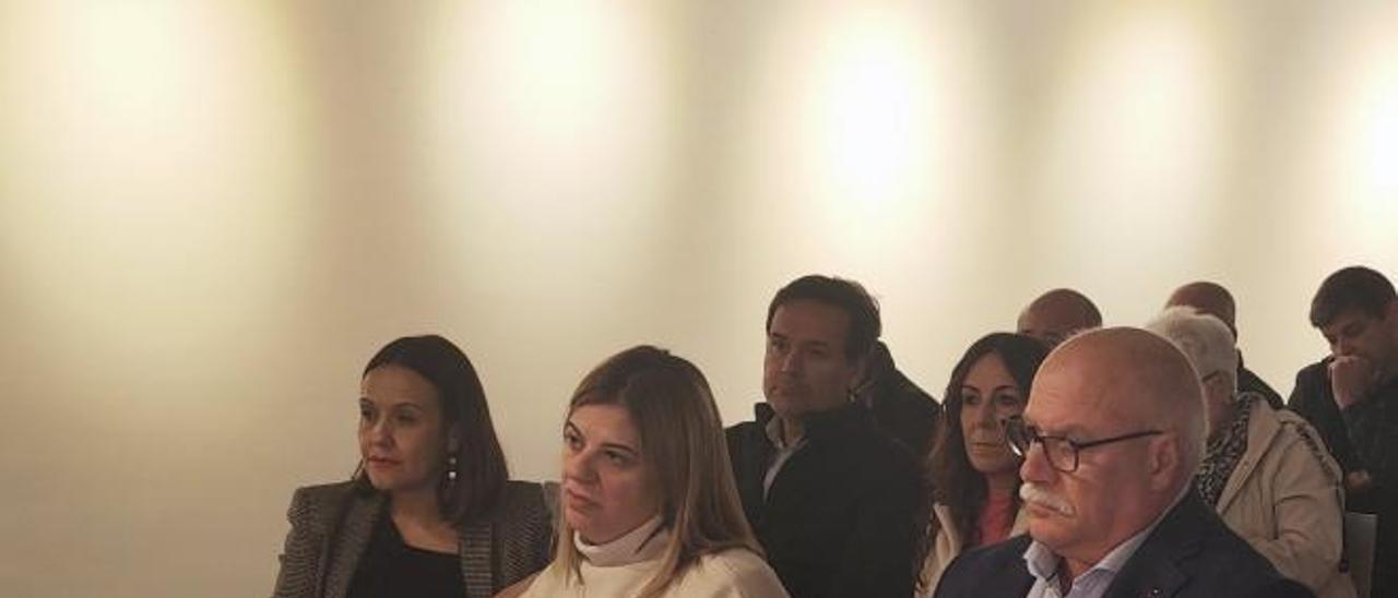 La FSA respalda a Raúl Moro en Mieres como un candidato "valiente y ...