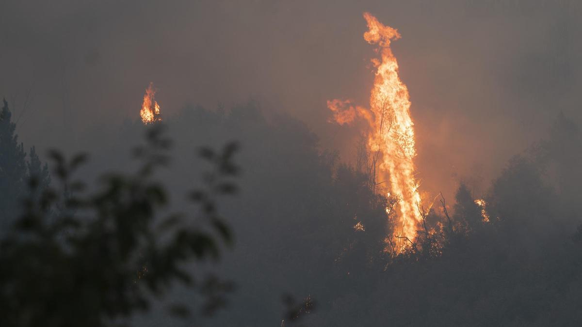 Cambio climático | Incendios en Chile: ya son 20 los muertos y el ...