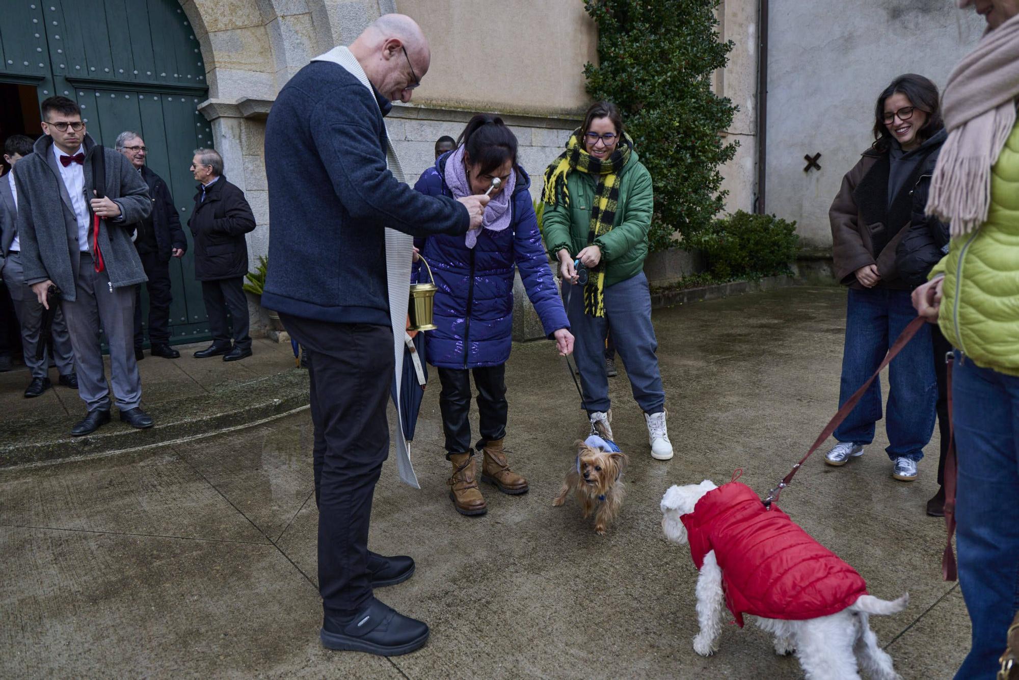 Les imatges de la celebració de Sant Antoni Abat a Girona