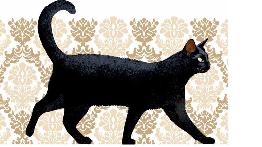 Coronavirus: Los investigadores que detectaron covid-19 en un gato ...