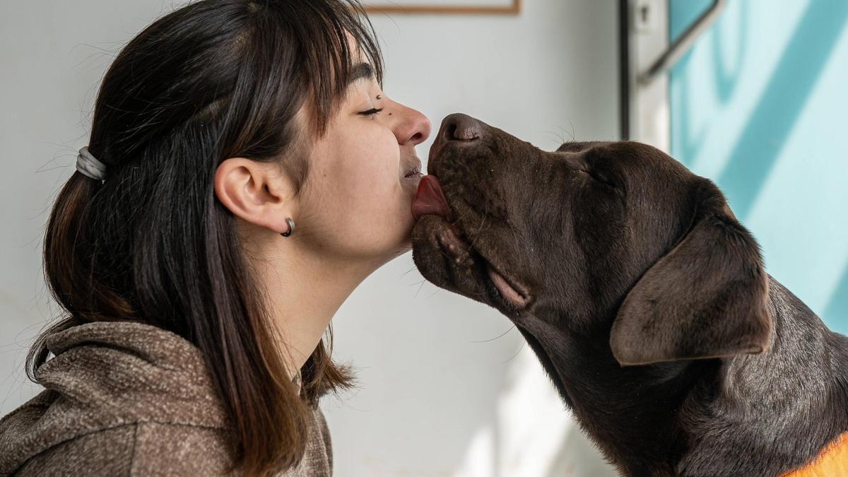 ACOSO ESCOLAR | Perros contra el 'bullying': cómo la terapia con ...