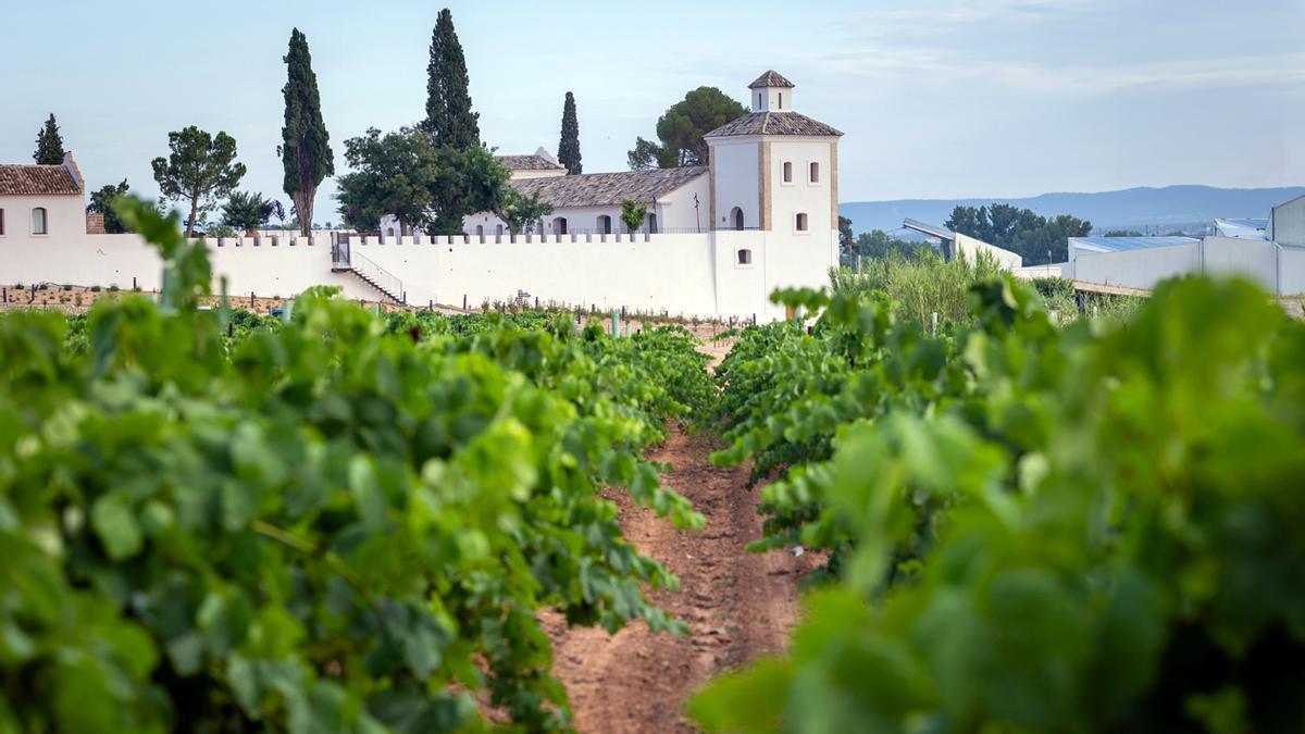 Finca Calderón: el enoresort de las grandes experiencias