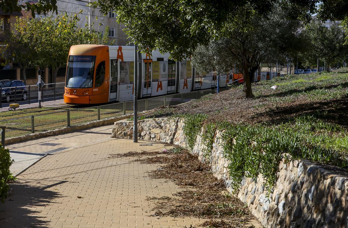 El TRAM también debe estar en Elx