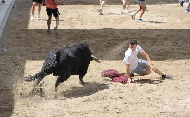 ENCIERRO SANT PERE | El Grau disfruta del encierro de toros cerriles en ...