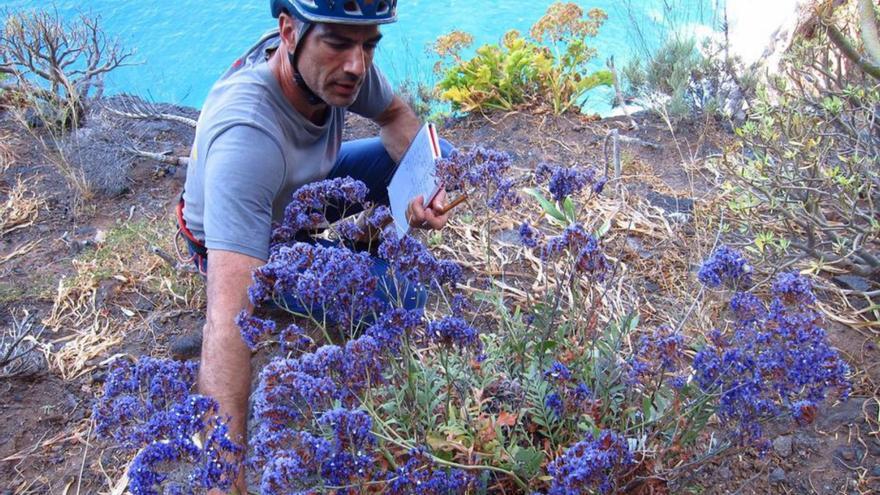 La Fedme concede el Premio Medio Ambiente al tinerfeño Javier Martín ...