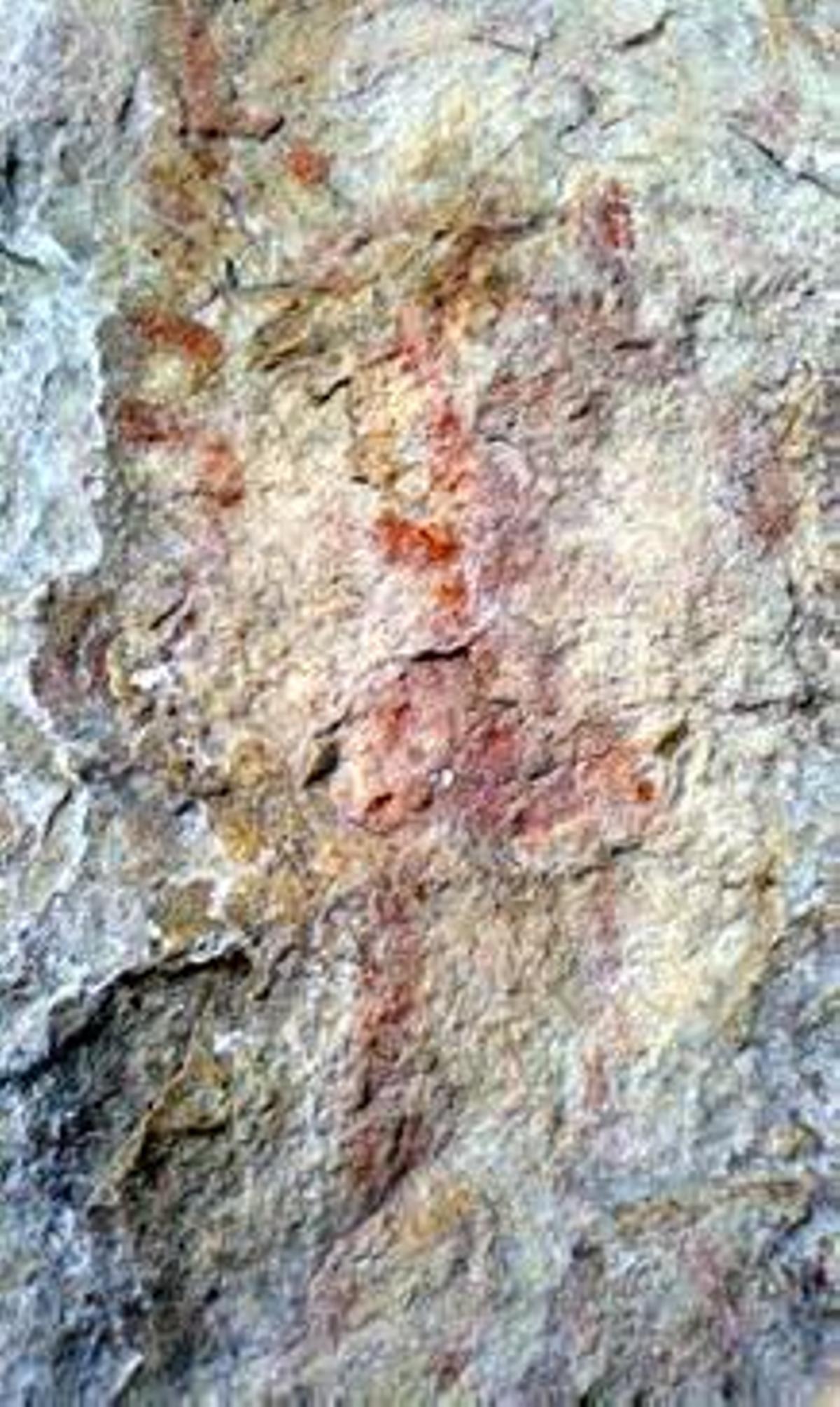 Altea recuperará las pinturas rupestres de L' Ermita del Vicari