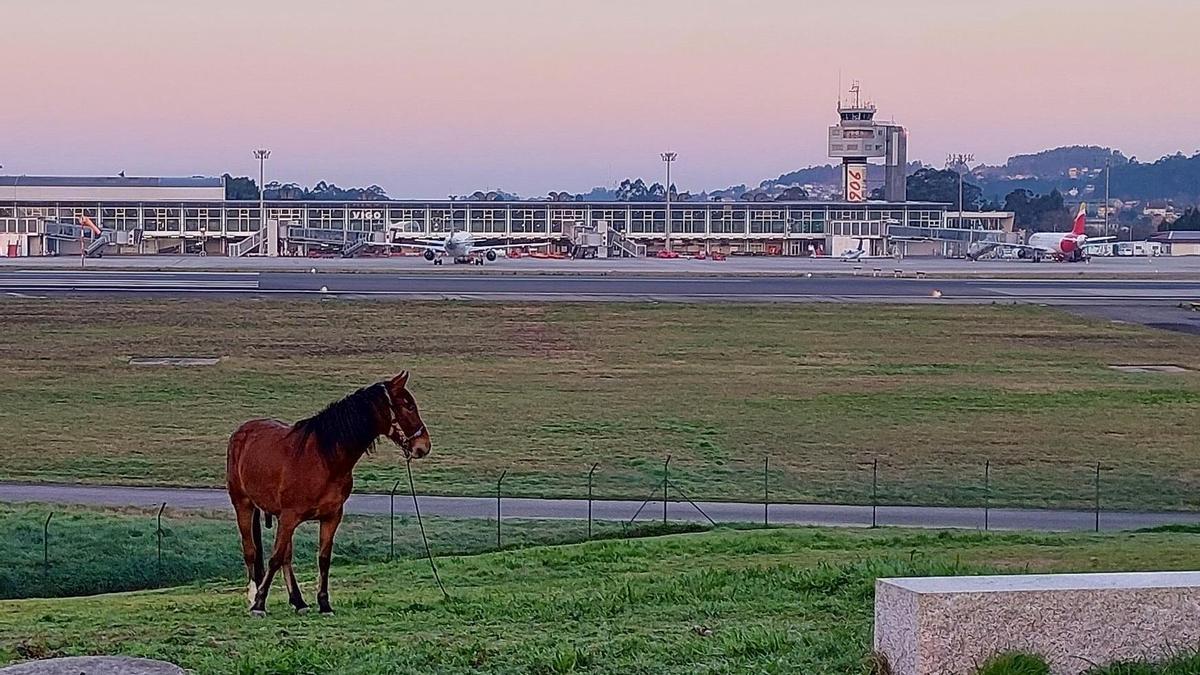 ACCIDENTES AÉREOS: Blindaje alado y armado en el aeropuerto de Vigo ...