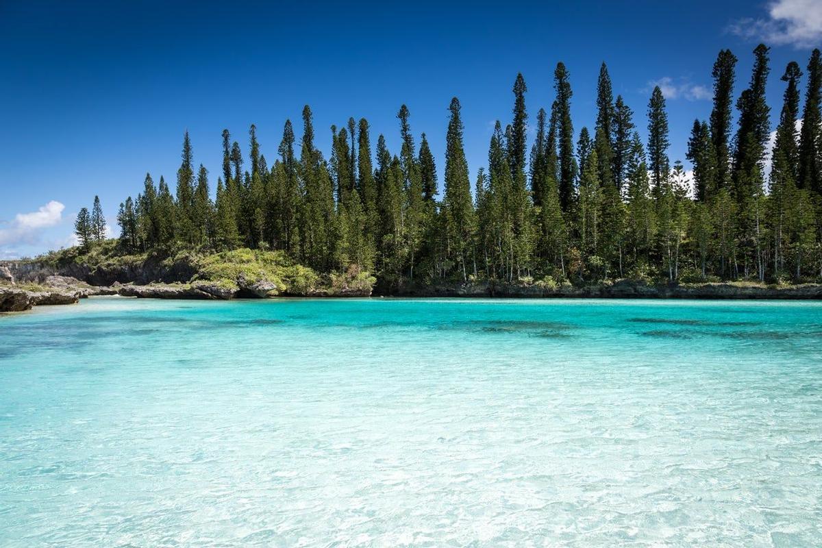 ¿Por qué le llaman a la Isla de Los Pinos "la más cercana al paraíso ...