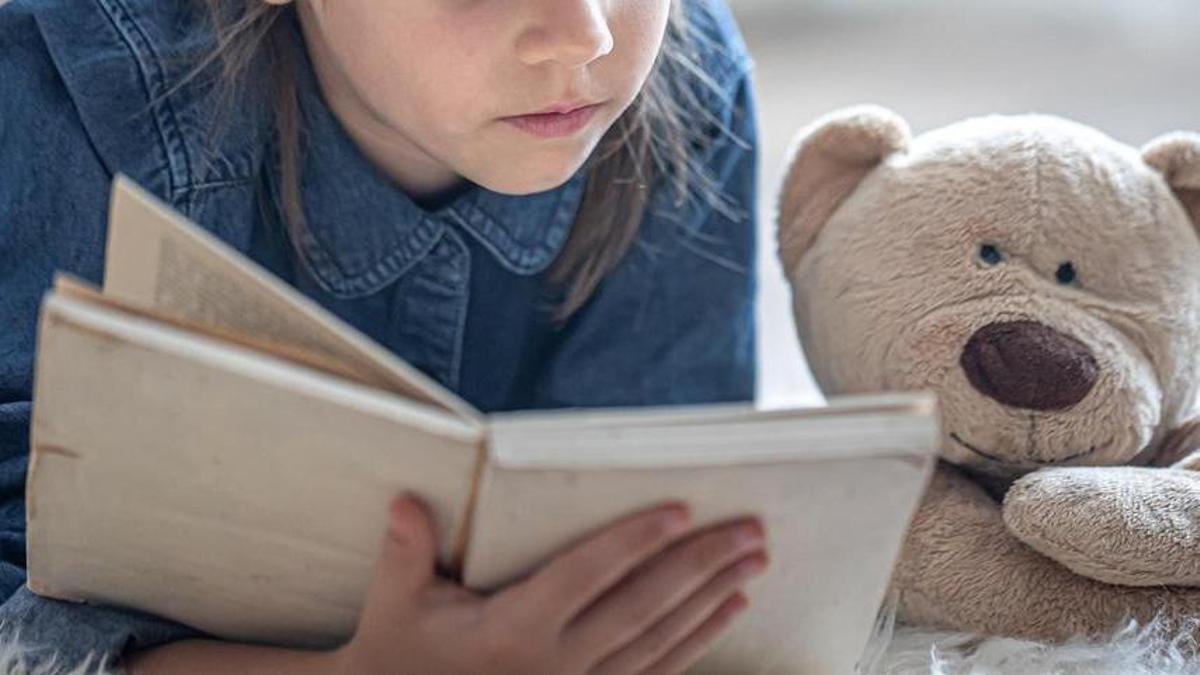 La comprensión lectora sigue siendo el principal obstáculo educativo ...