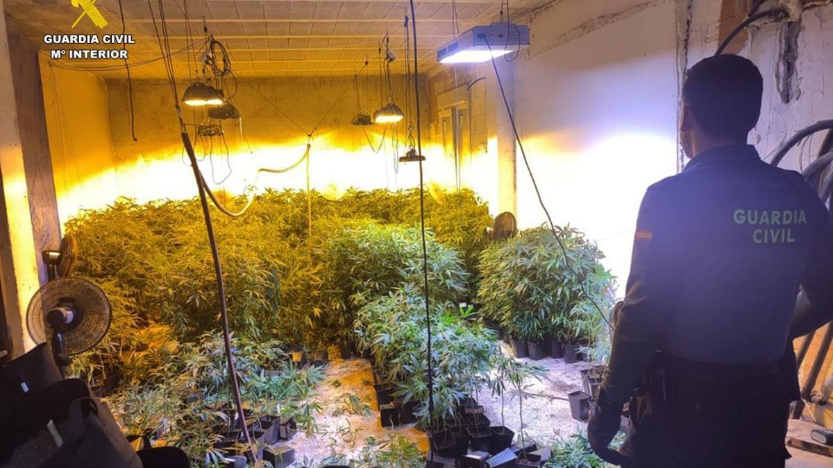 Detenidos Altea: Desmantelan una plantación de marihuana en una vivienda en construcción en Altea