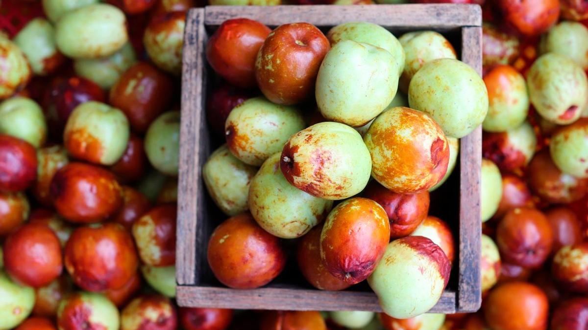 ¿Sabes qué es el azufaifo?