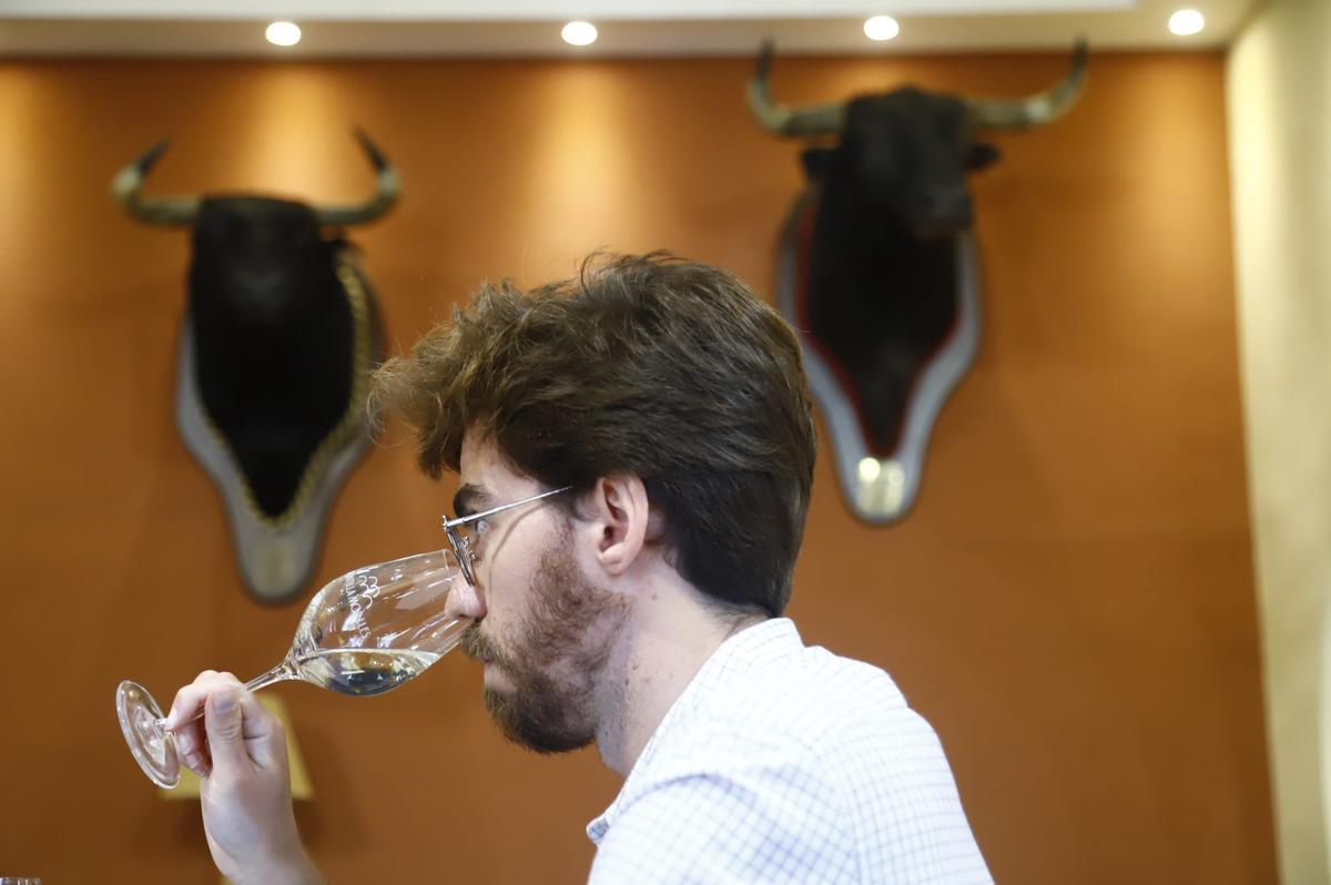 CATA DEL VINO DE CÓRDOBA | Una cata dirigida por "los vinos de la verdad"