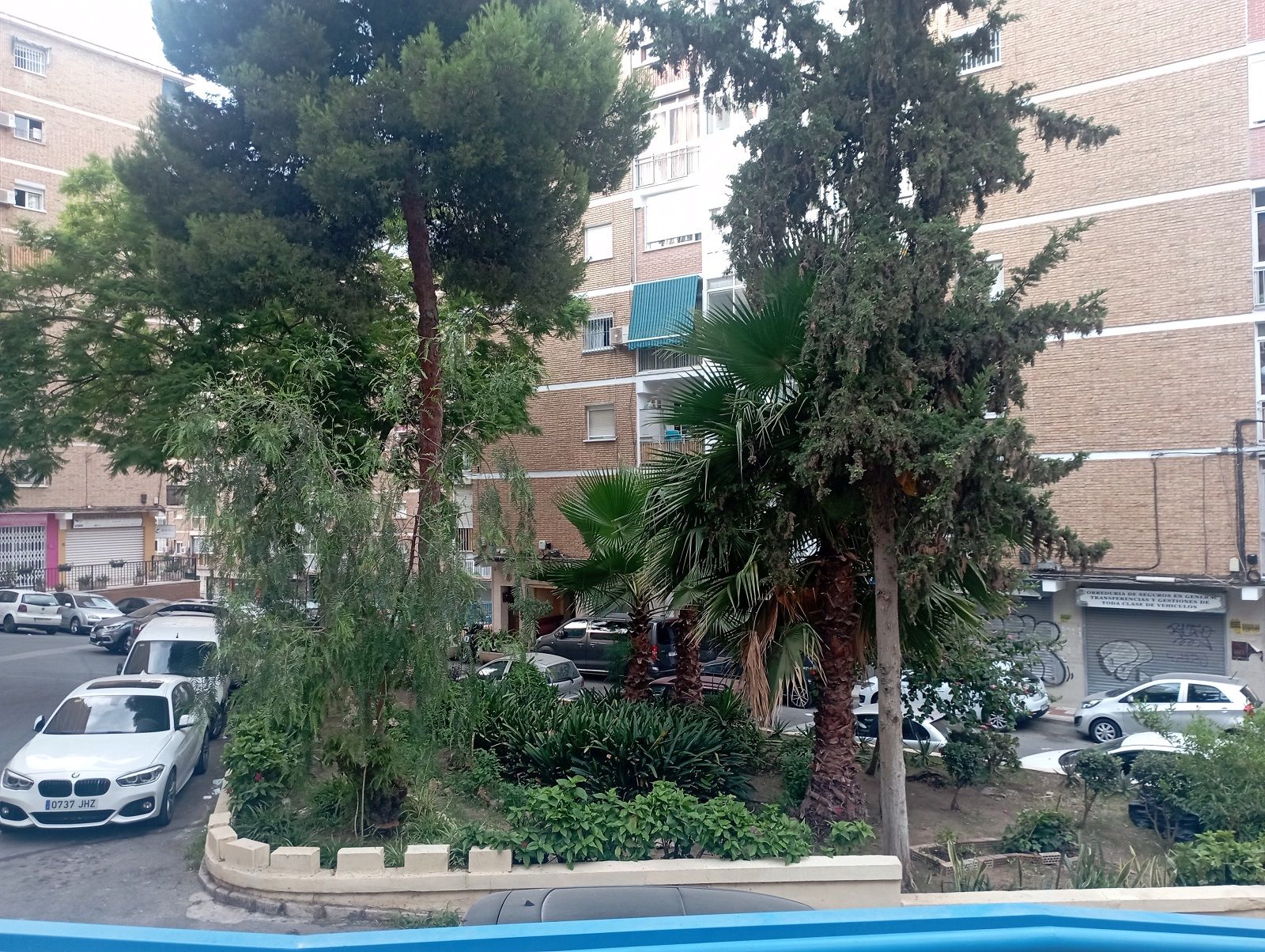 Una aldea de Astérix en Miraflores de los Ángeles - La opinión de Málaga
