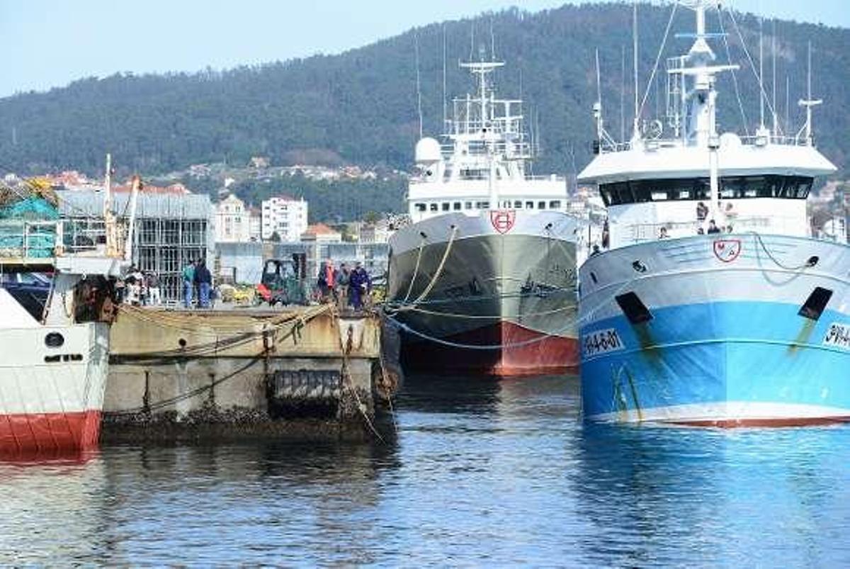 Rusia examina al sector pesquero gallego con inspecciones "muy ...