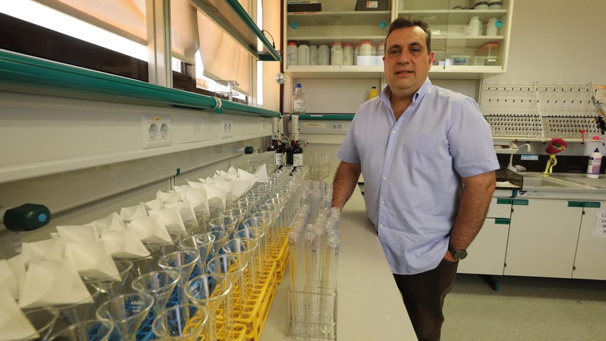 El catedrático de la UMH de Elche Manuel Jordán, académico de la Real ...