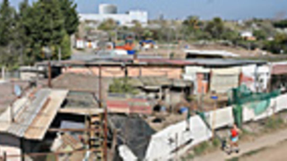 Avestruces cautivas y chabolas rodean la UPC de Castelldefels - El ...