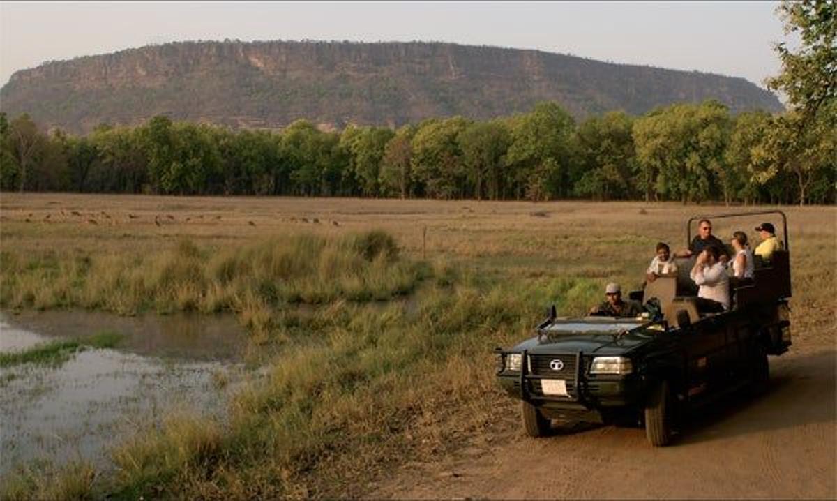 Safari en la selva de "Shere Kan" - Viajar