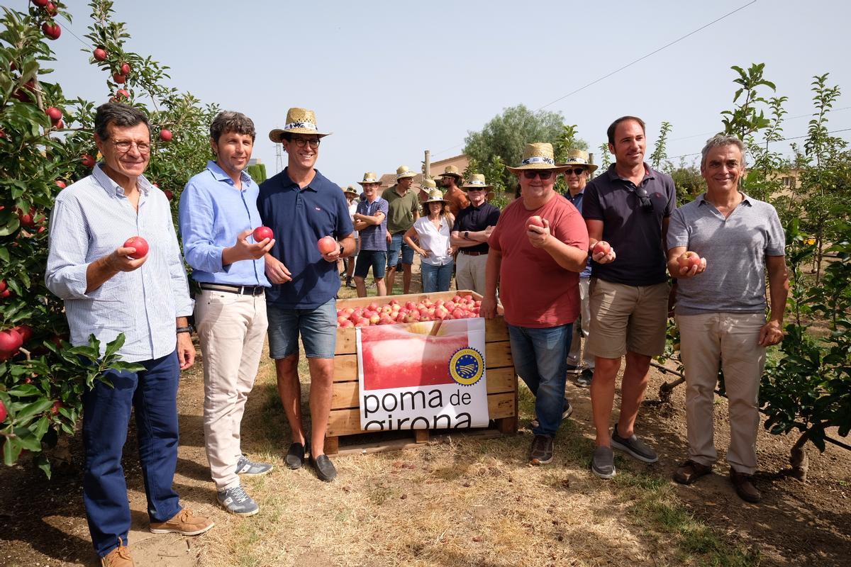 Poma de Girona preveu mantenir una producció alta tot i la sequera