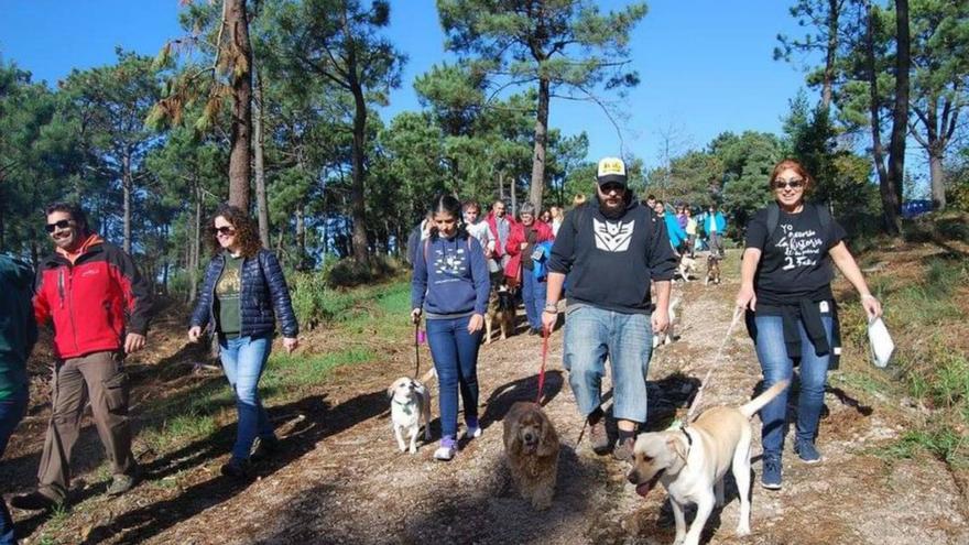 I Roteiro Canino este domingo en Monteferro - Faro de Vigo