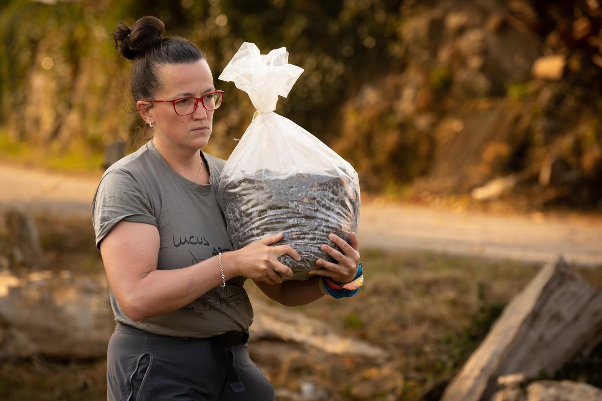 Proyecto de excavación en Lucus Asturum