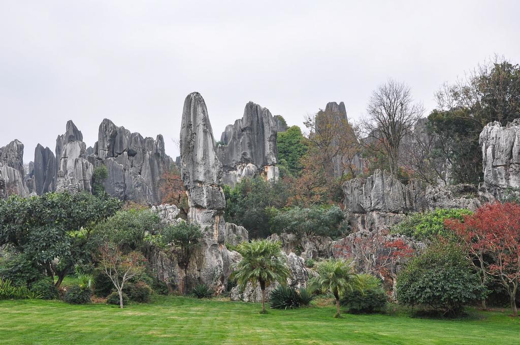 PUEBLO CHINO ENANISMO | El pueblo de China donde solo encontrarás personas de esta estatura