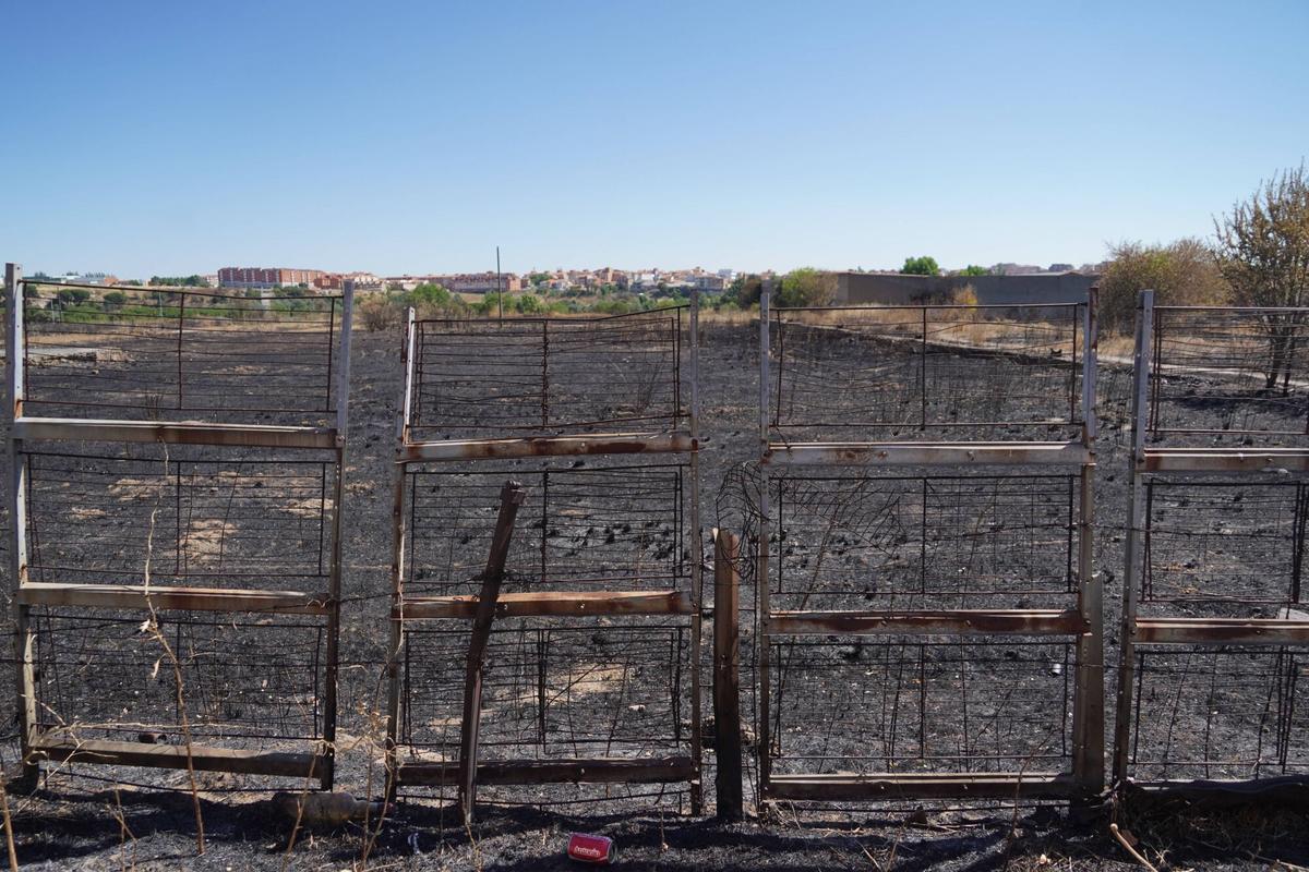 Urgencia por limpiar los solares abandonados antes del verano