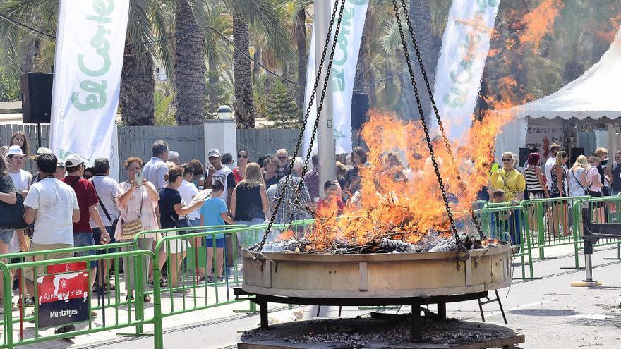 La costra más grande del mundo - Información