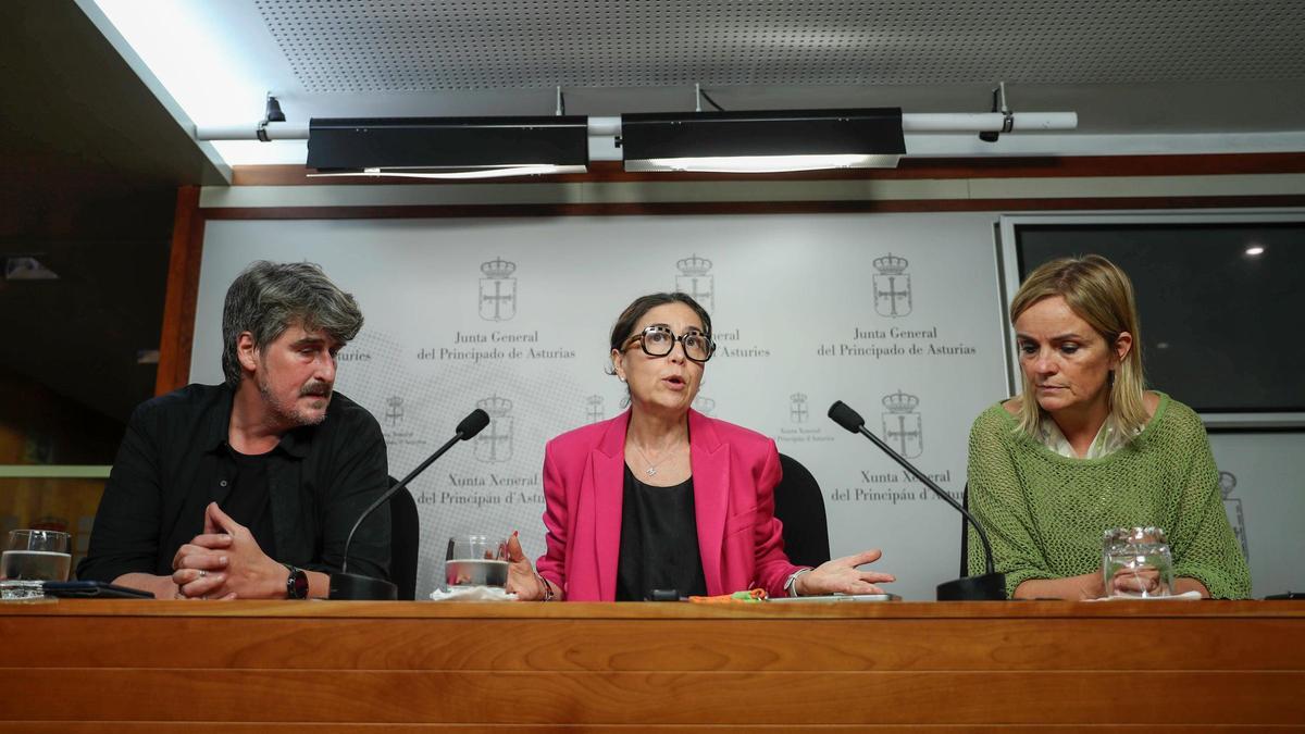 OFICIALIDAD ASTURIANO | La oficialidad del asturiano vuelve a la Junta ...