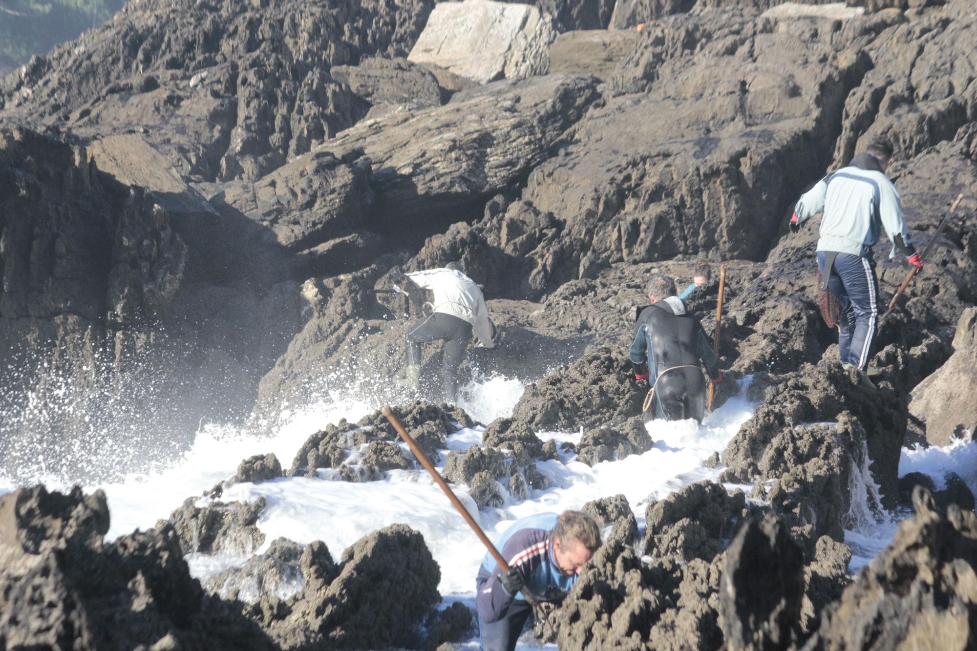 Percebeiros de Cangas vuelven al "manicomio" de la Costa da Vela