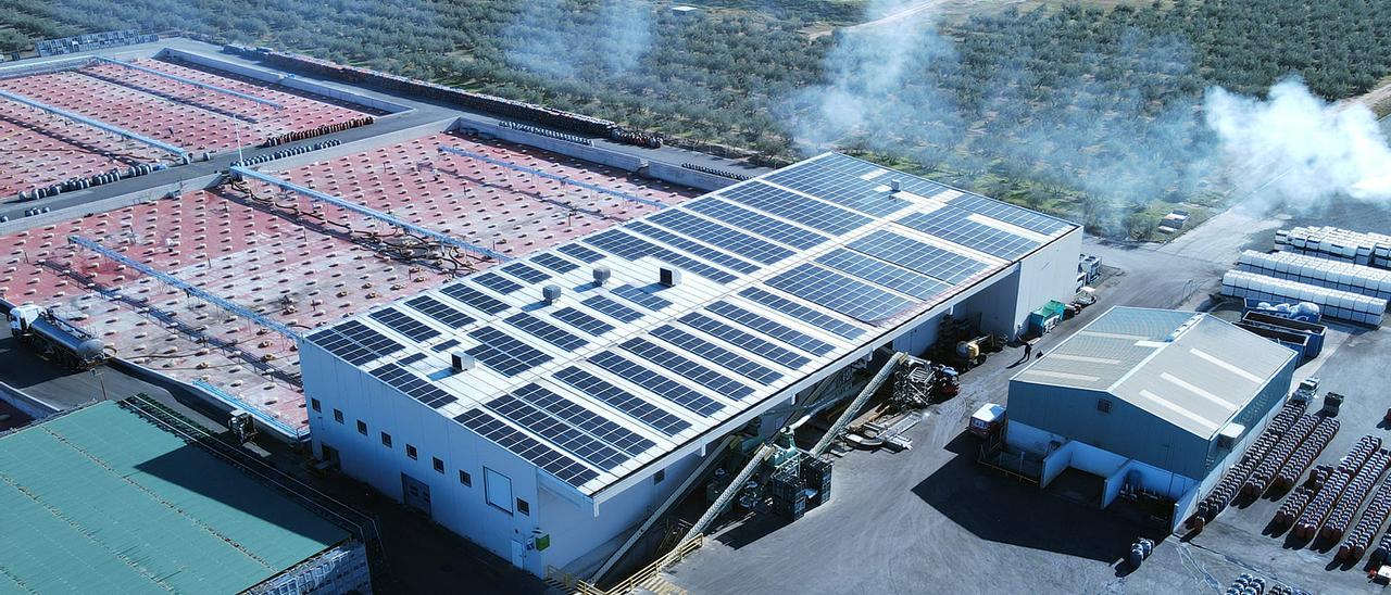 EiDF defiende que el dictamen jurídico sobre el “forensic” descarta un ...