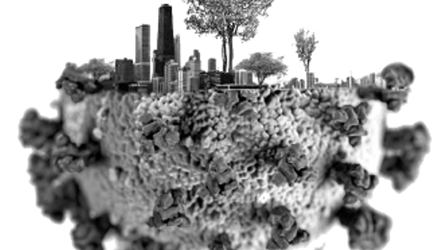 Vidas Transformadas - Información