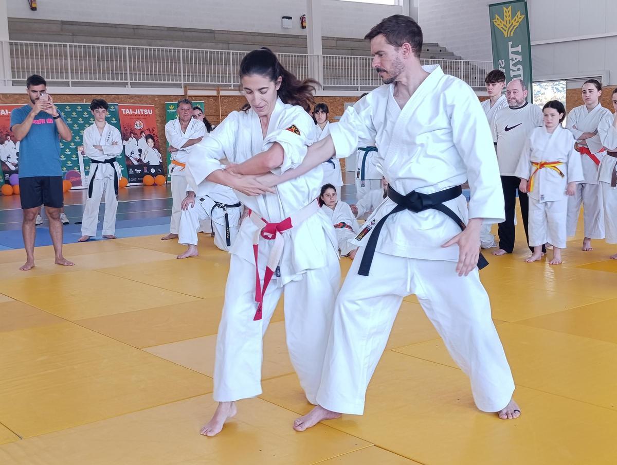 "Más Guerreras", cita con el Club Tai-jitsu Llanera y los referentes ...