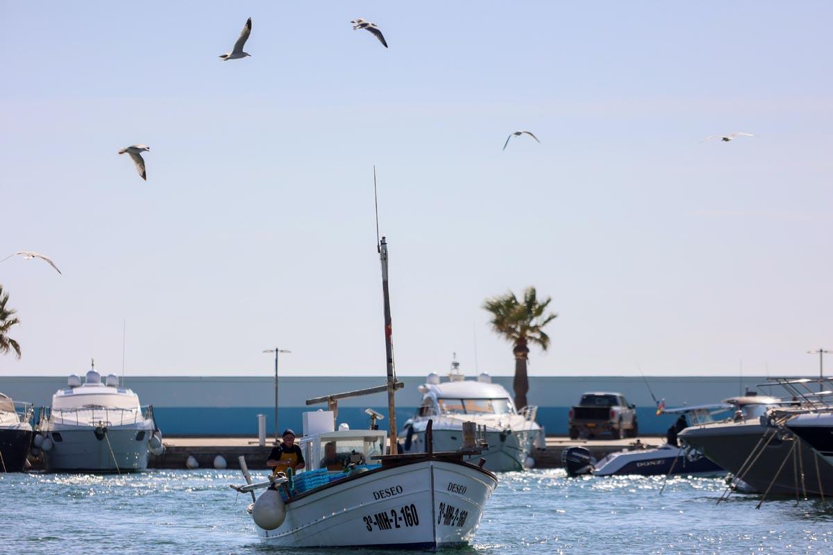 La Fira des Gerret de Santa Eulària, en imágenes - Diario de Ibiza