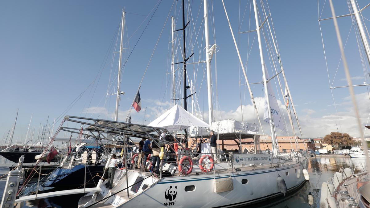 El velero 'Blue Panda' de WWF celebrará jornadas de puertas abiertas ...