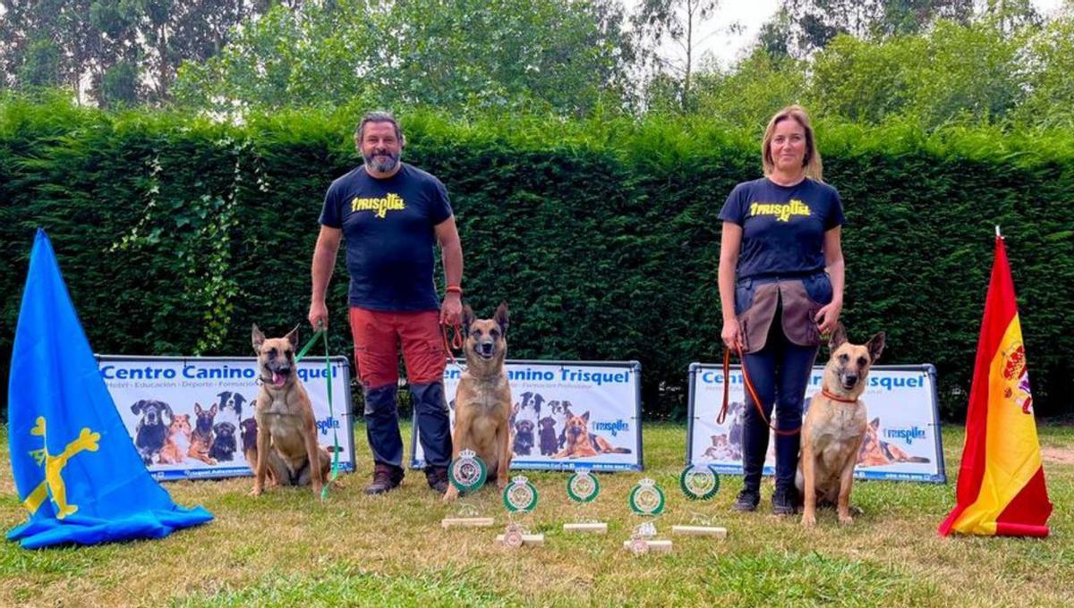 La superación de "Josy", la perra campeona adiestrada en Castrillón que ...