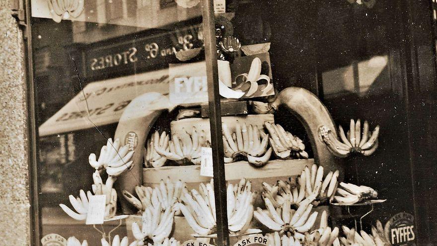 Fyffes, un imperio sostenible - La Provincia