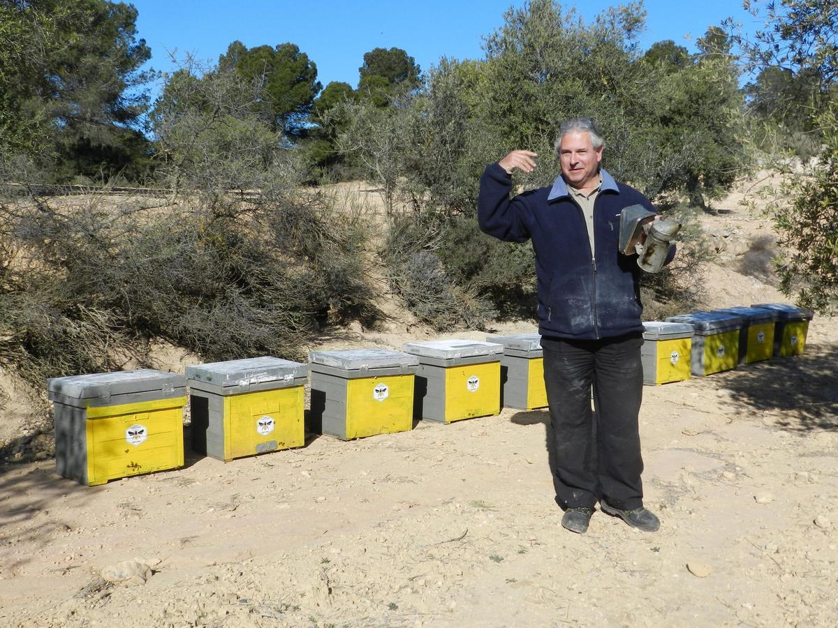 SOLSONÈS: El projecte Redicat per salvar les abelles, en què participa ...