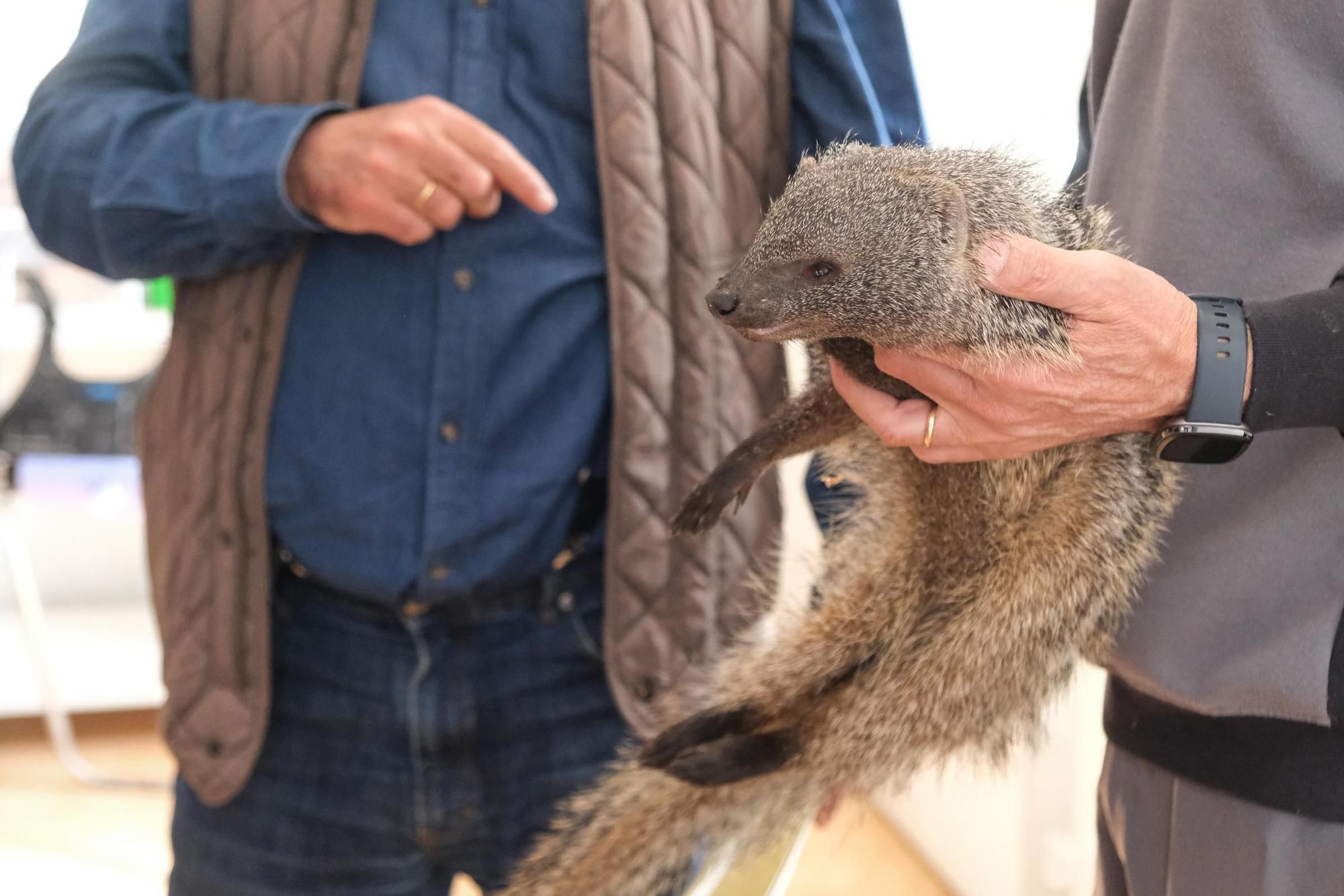 Así es el Centro de Recuperación de Fauna de Santa Faz