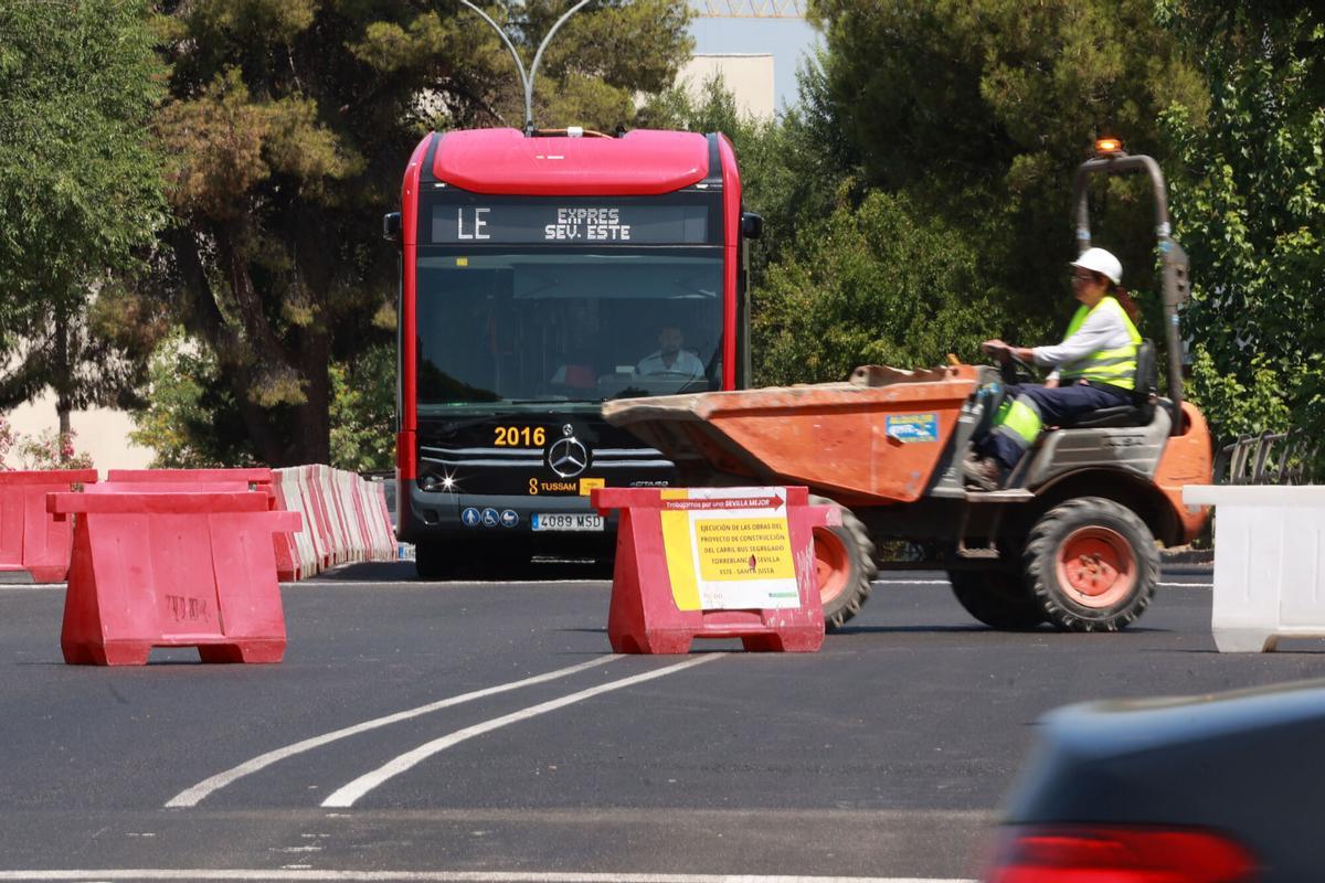 AUTOBUSES TRANSPORTE PÚBLICO | Tussam reorganizará sus líneas con la ...