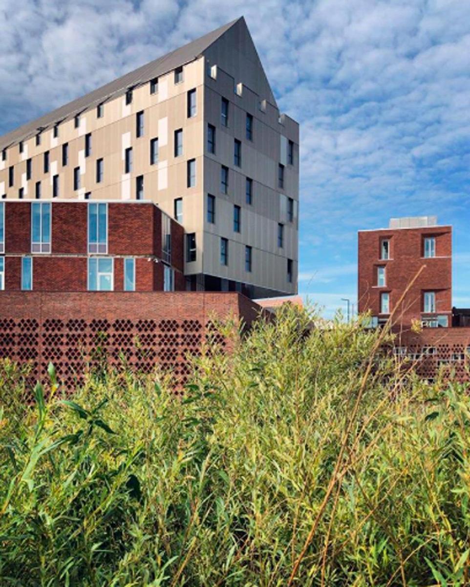Recorremos la ciudad de Lille por siete iconos de la arquitectura - Viajar