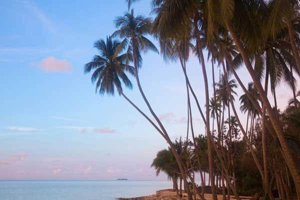 Buceo en la Isla Mabul - Viajar