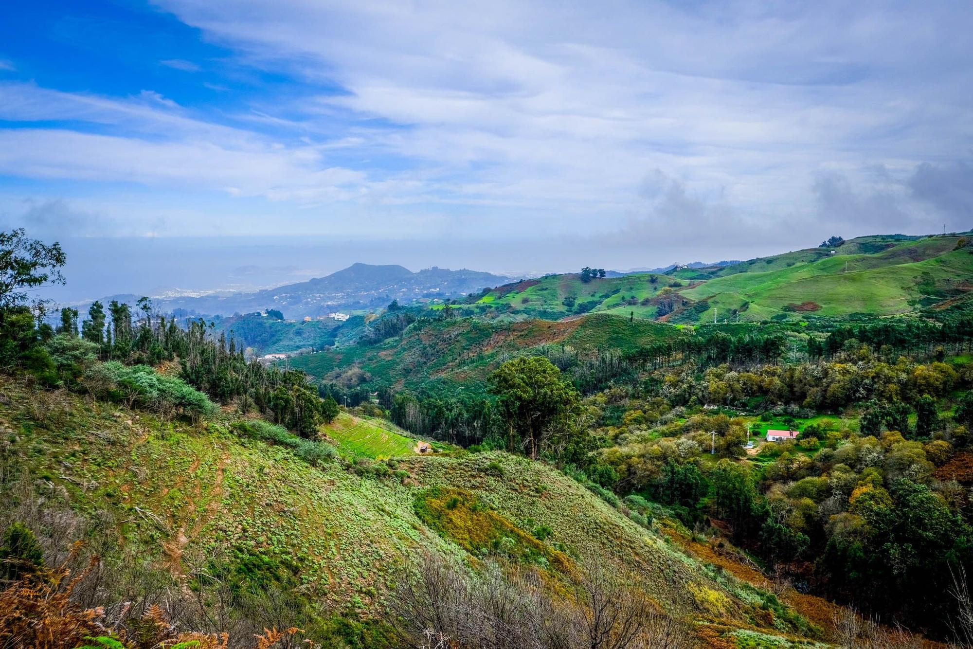 Gran Canaria: Isla Verde