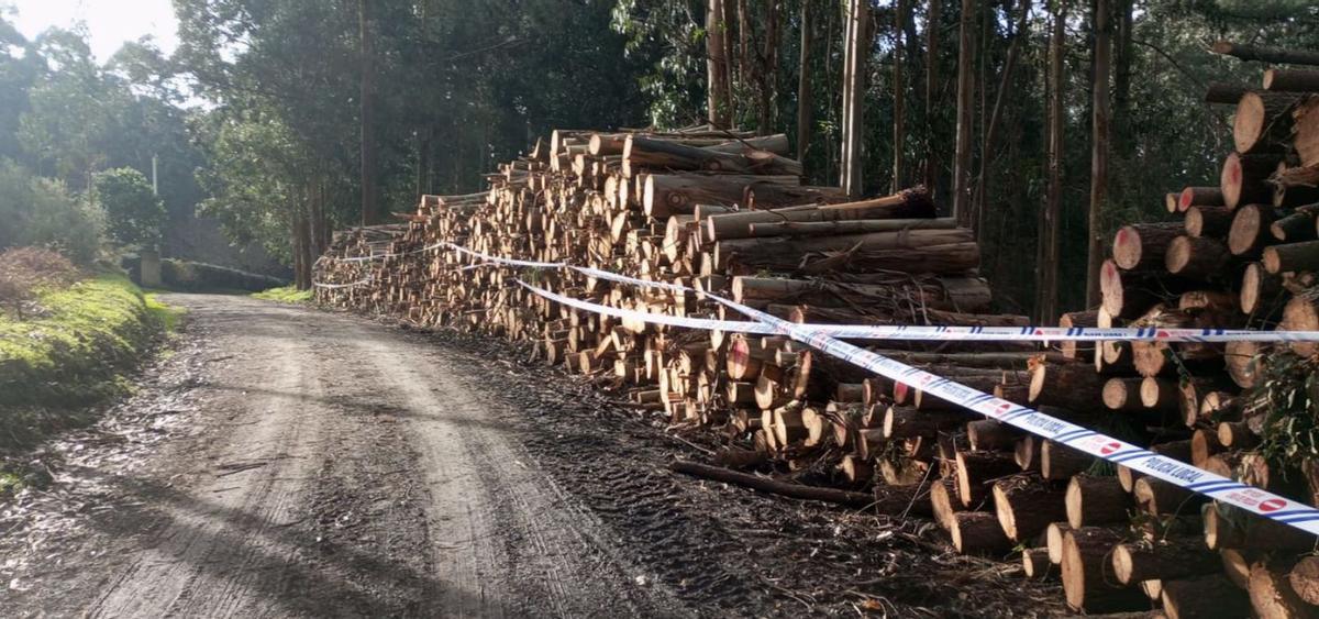 La Policía Local de Oleiros precinta una tala de madera en Dexo por no ...