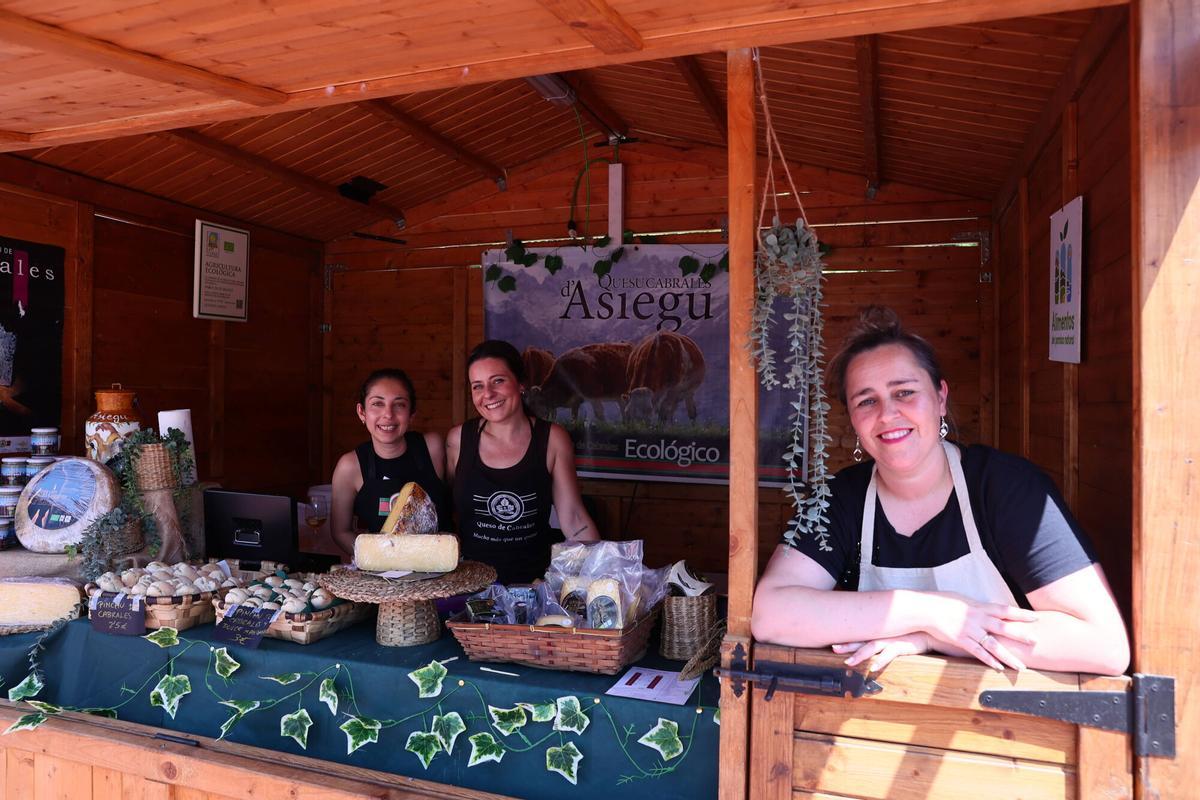 En imágenes: Así fue la jornada del sábado en la Feria del Queso y el Vino