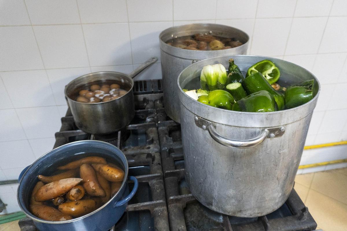 Bioparc extrema les mesures per a protegir els animals de l’onada de fred